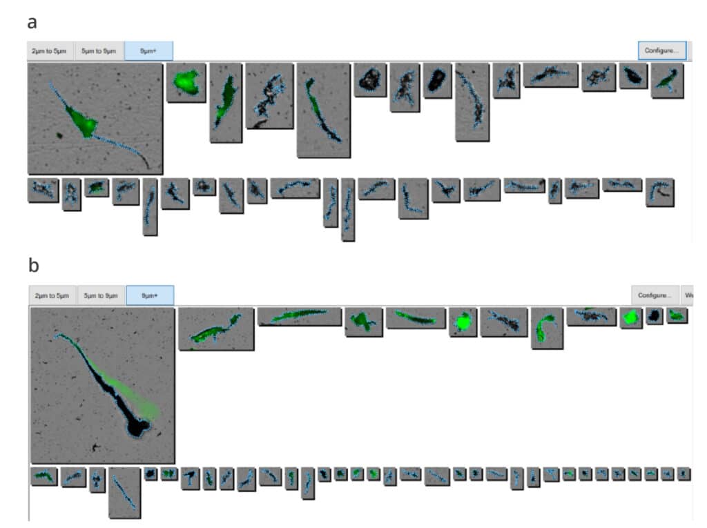 Protein Stability Measurement | Halo Labs