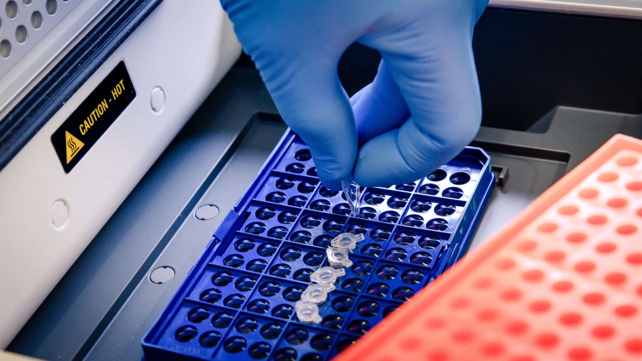 Complete Guide To Particle Size Distribution And Analysis Halo Labs